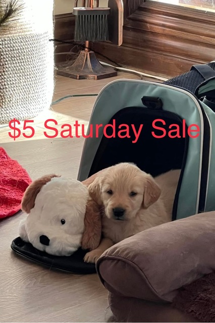 Posh Show - Poshmark